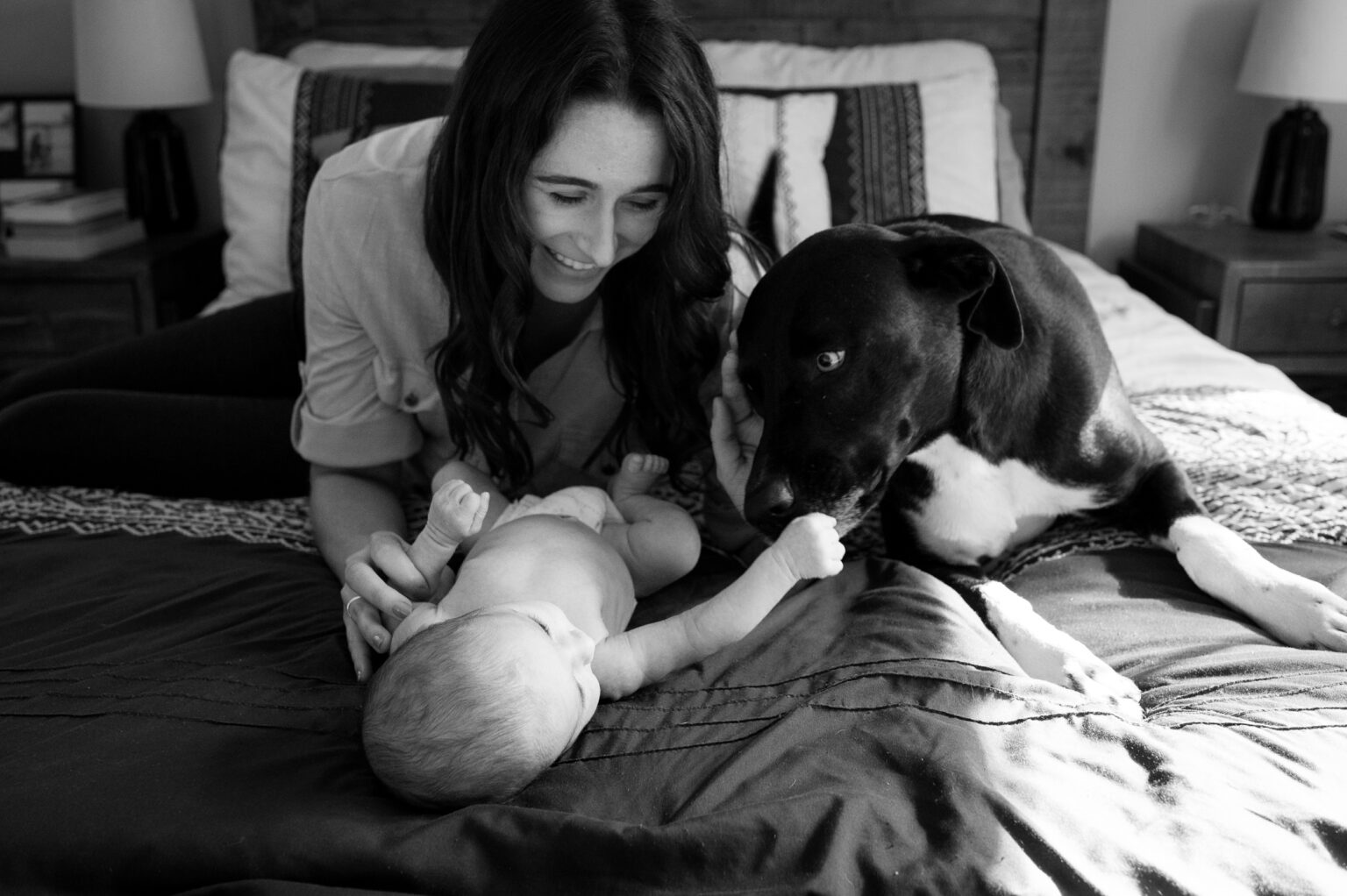 Trust These 5 Experts For Your Placenta Encapsulation In CT